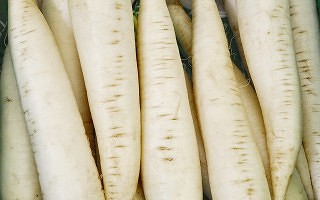 Nabo daikon ¿Conoces sus propiedades para desintoxicar el hígado y ...