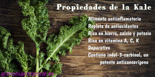 La Col Kale: ¿Qué es y cómo prepararla? - Armonía Corporal