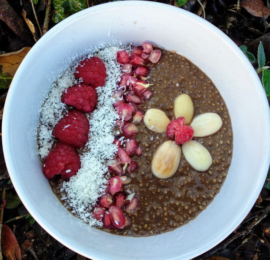 Pudín de Chía y Algarroba (o Cacao) Caliente Feliz Navidad - Armonía ...